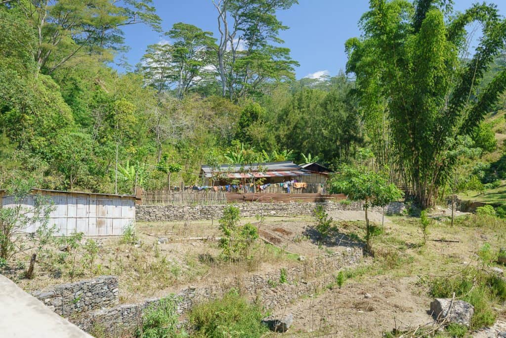 East Timor Coffee Country - How To Visit Gleno, Ermera & Letefoho